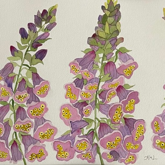 Hand Painted | Art | Watercolor Painting Original Art Flowers Foxglove ...